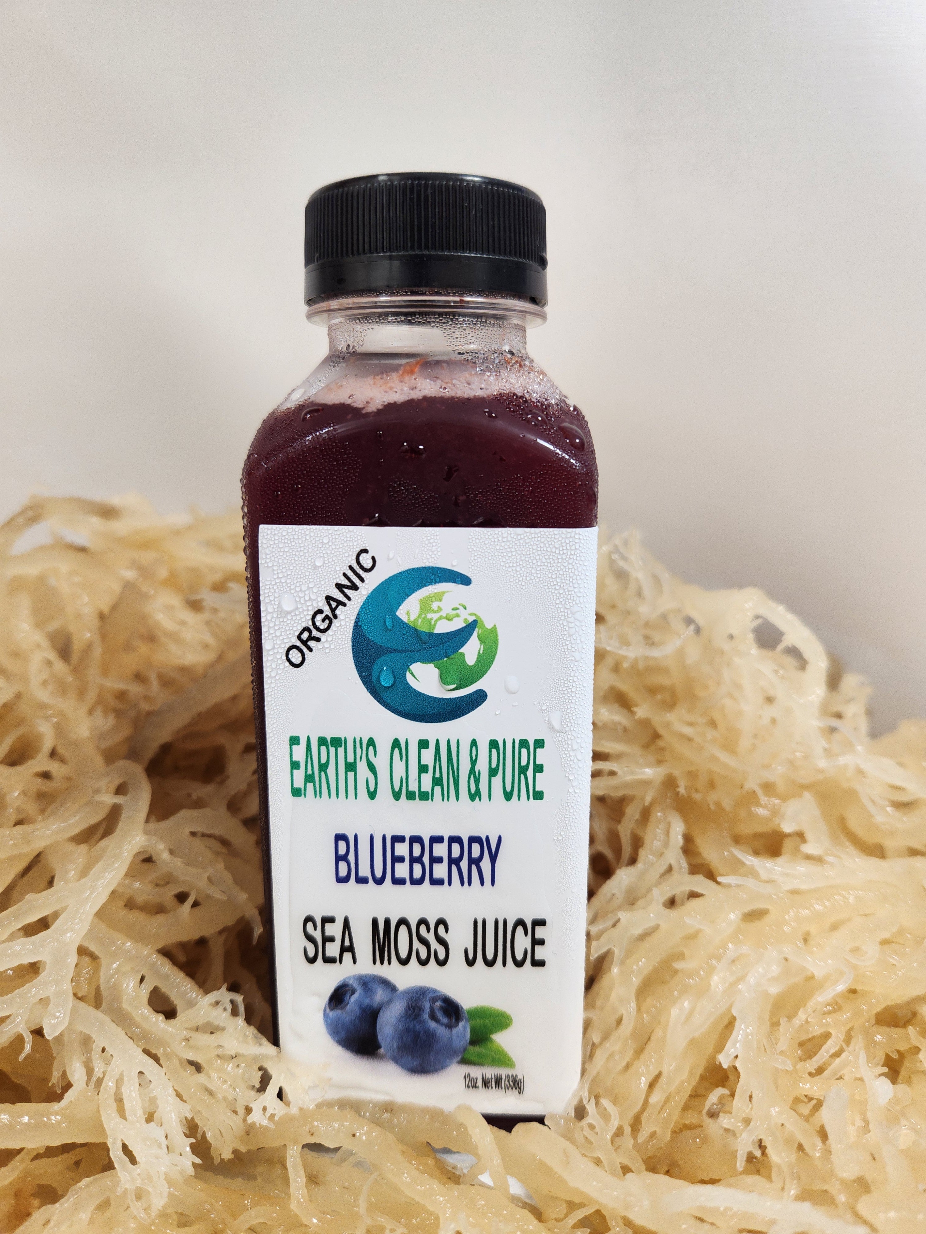 Blueberry Sea Moss Juice – 🌍 EARTH'S CLEAN AND PURE 🌍